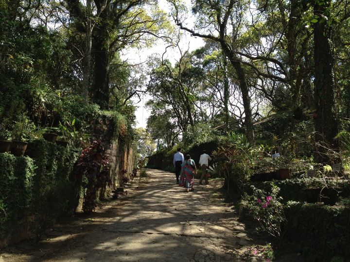 29 Places to Visit in Yercaud, Tourist Places in Yercaud, Sightseeing ...