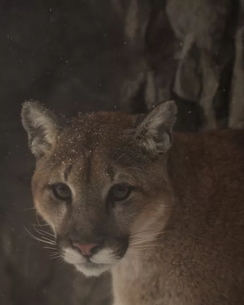 Explore Roorkee, Uttarakhand, India - Things To Do, Best time to Visit ...